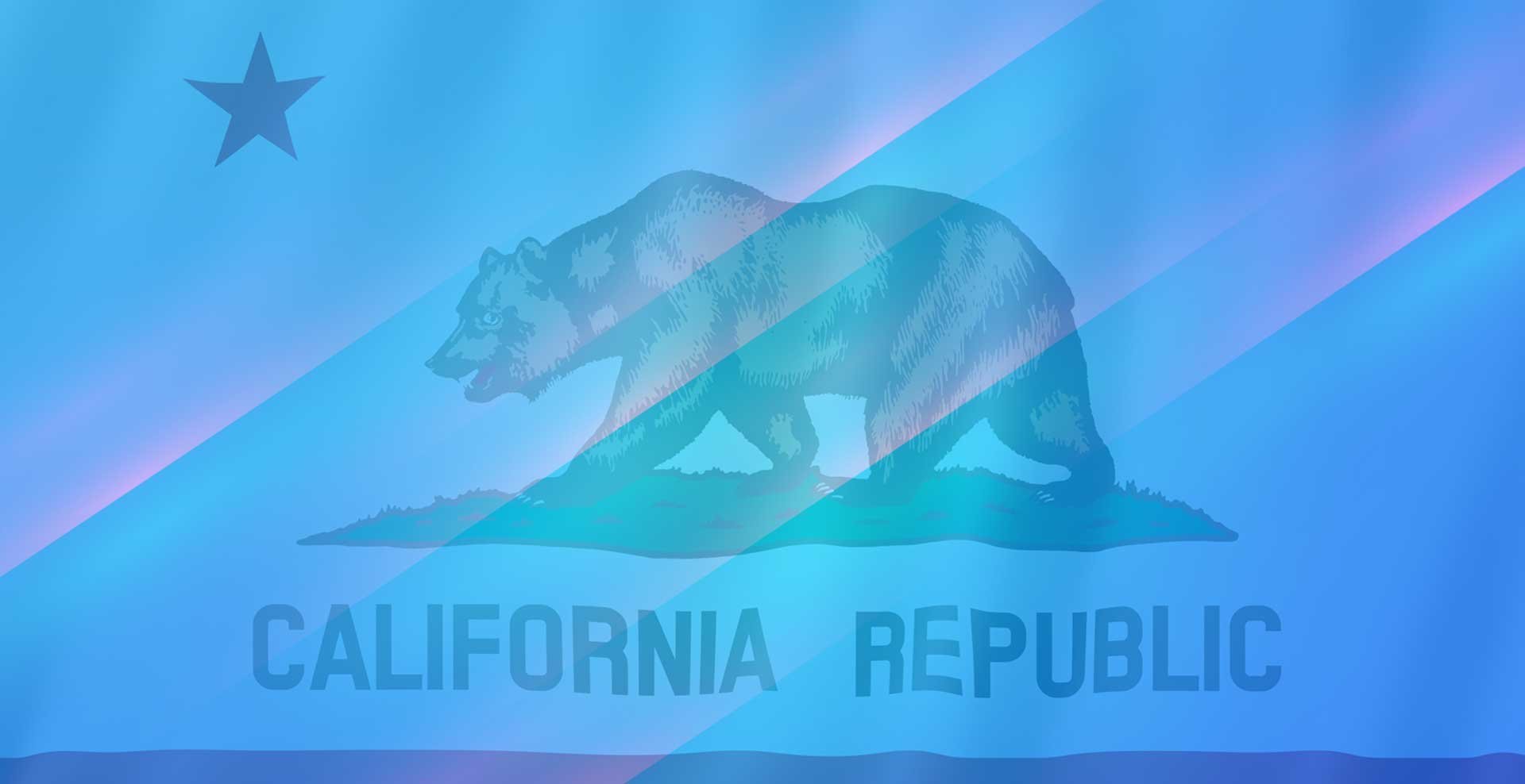 NAIFA-CA State Board 2025